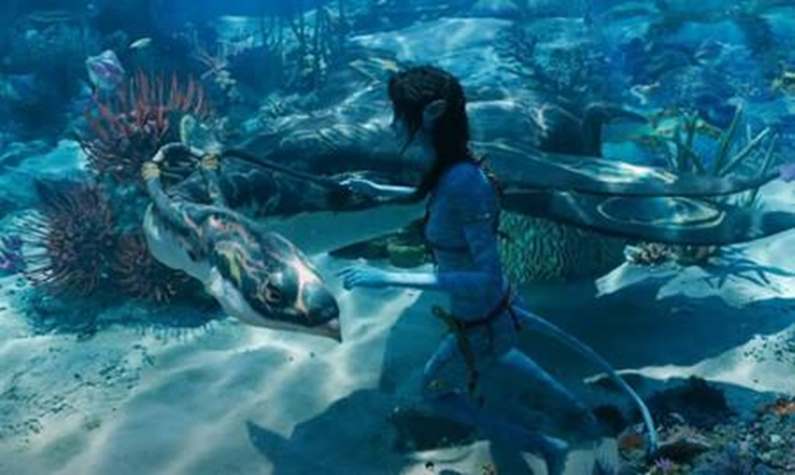 “Avatar: El camino del agua” se consagró como el mejor estreno del 2022 ...