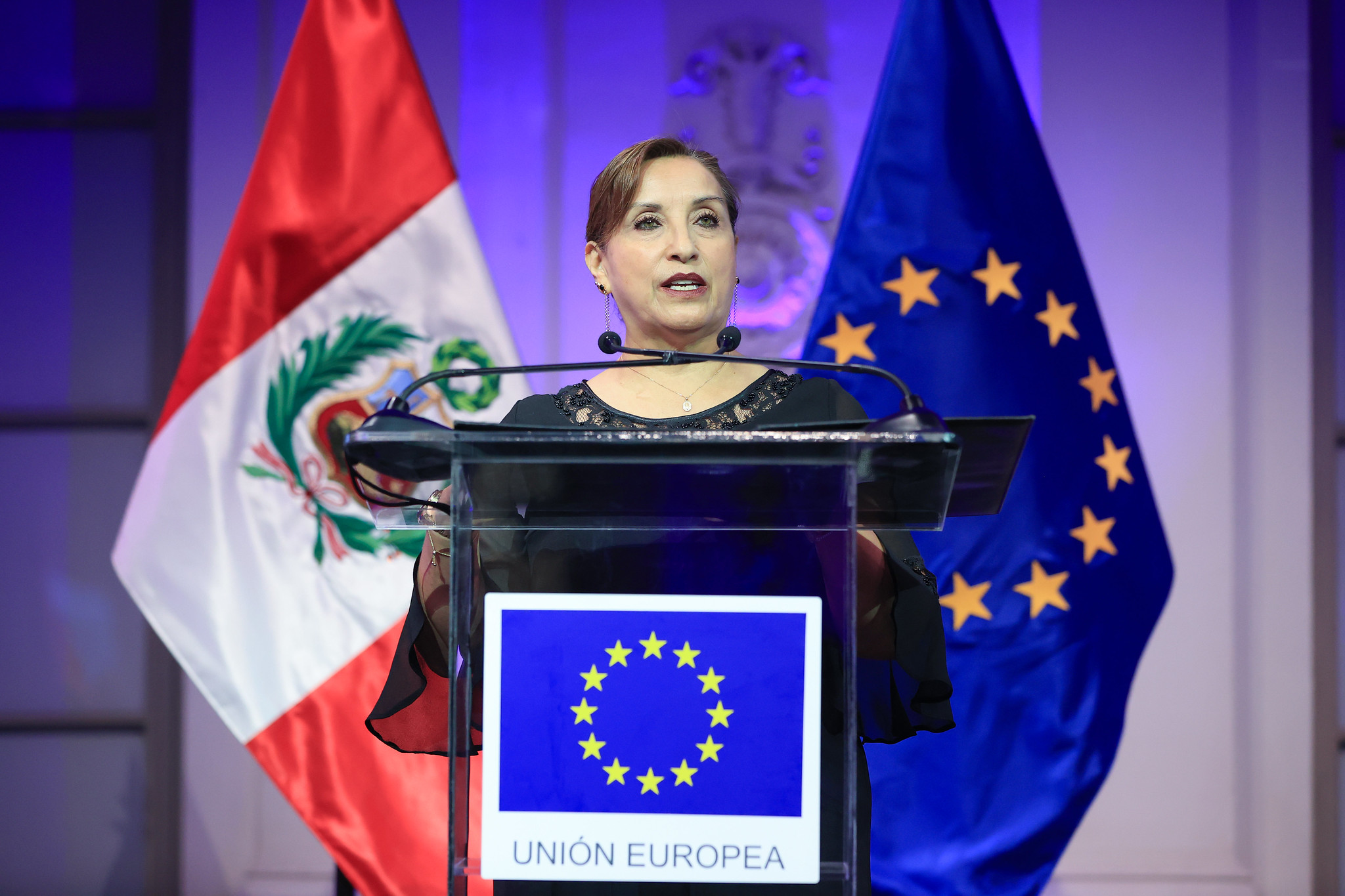 Dina destaca lazos de amistad con los países de Europa - Diario La ...