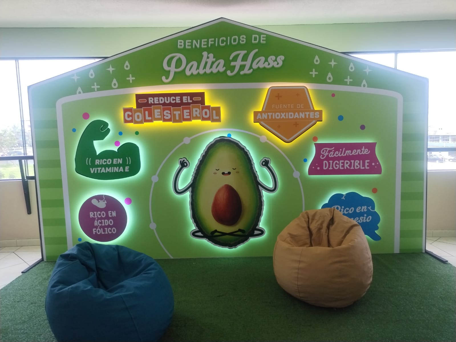 Palta Hass: La palta que conquista los paladares del Perú y el mundo ...