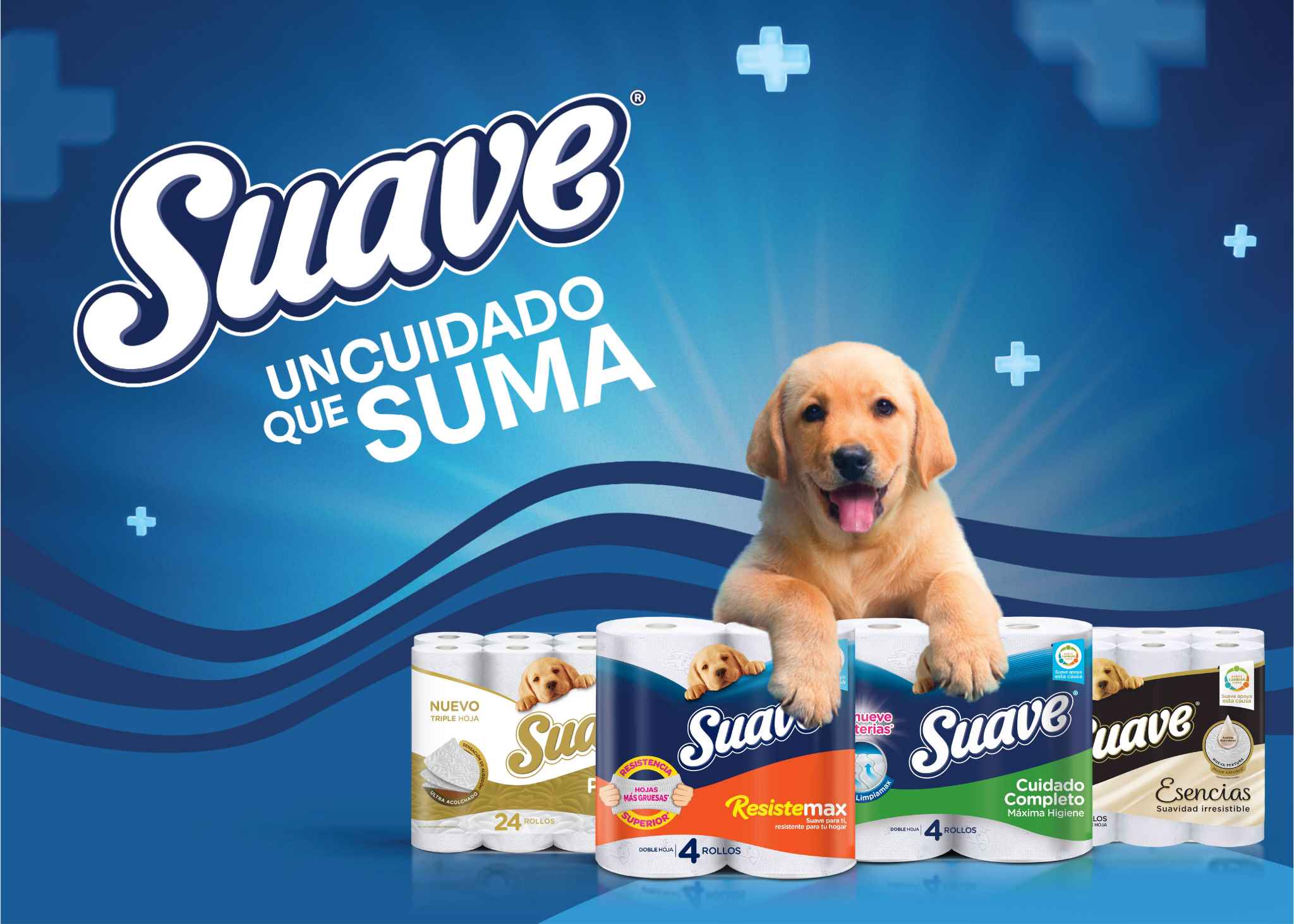 Kantar: “Suave” dentro del top 5 marcas con mayores ganancias en ...