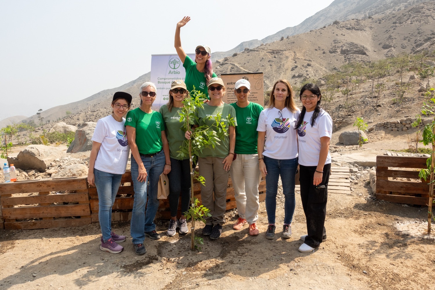 Arbio presenta su nuevo programa ambiental “Hermanando Árboles ...
