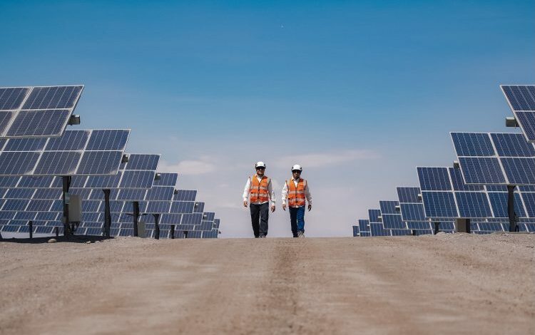 AgroAurora construirá la planta solar de autoconsumo más grande del ...